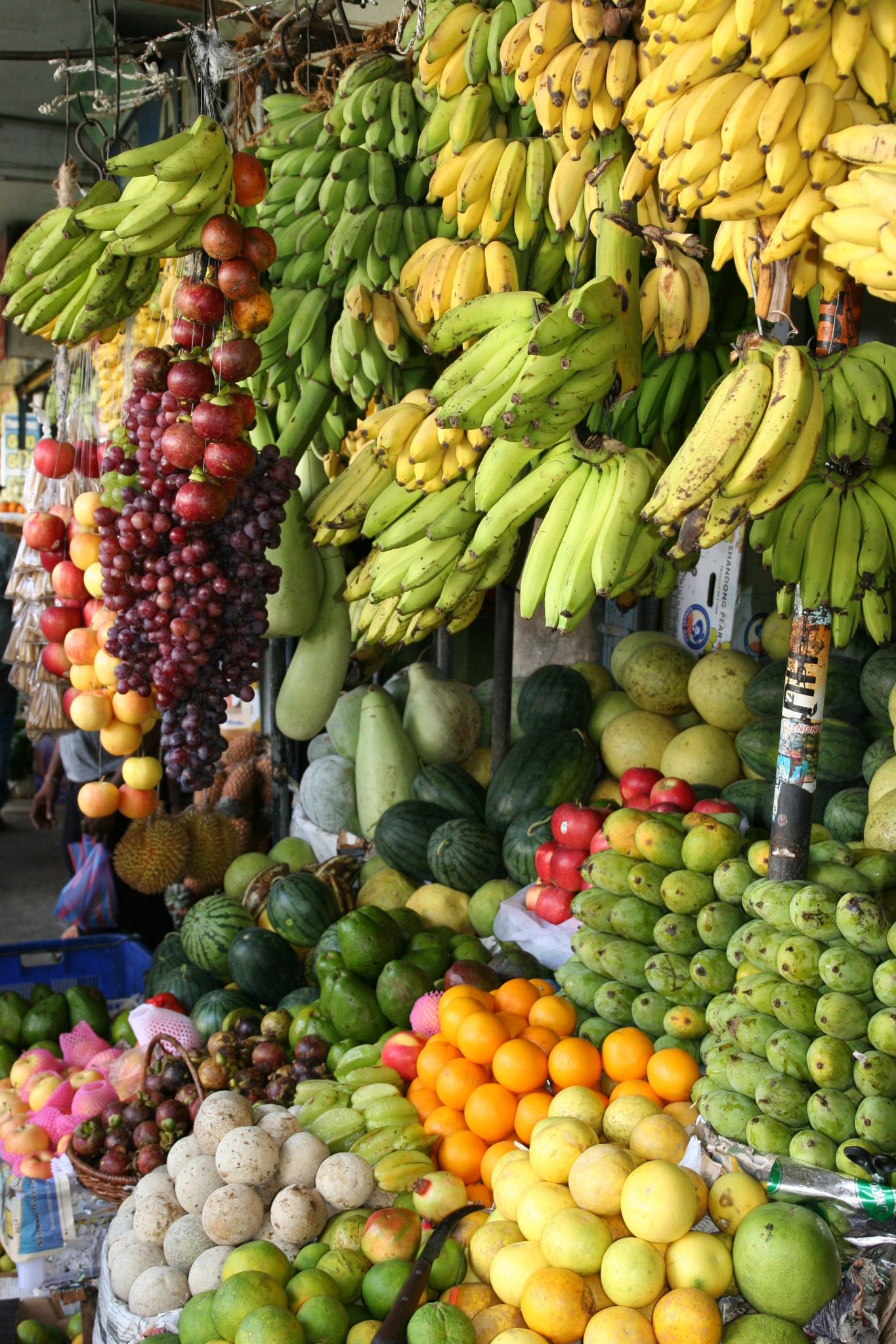 Fruits Facts
