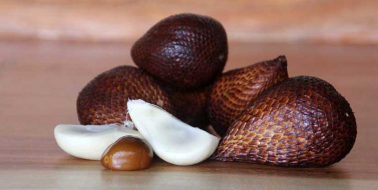 Exploring Snake Fruit (Salak): Benefits, Uses, and Nutritional Value of ...