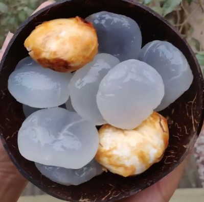 What Are the Health Benefits of Ice Apple? – Fruits Recipes