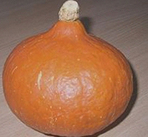 Red kuri Fruit | Nutrition facts-Red kuri Fruit | Health benefits