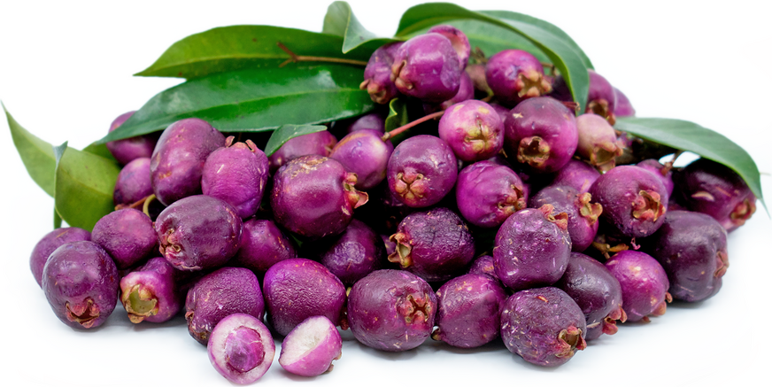 Strawberry Guava nutritions | origin | common names | facts | uses ...