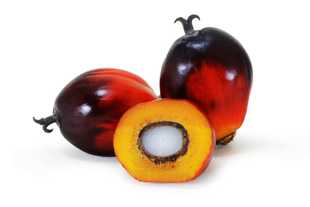 Lemato fruit | fruit facts | hybrid variety | lemon | tomato